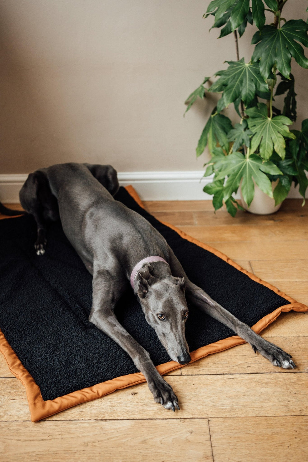 The Pub Mat – Skinny Dog Collective